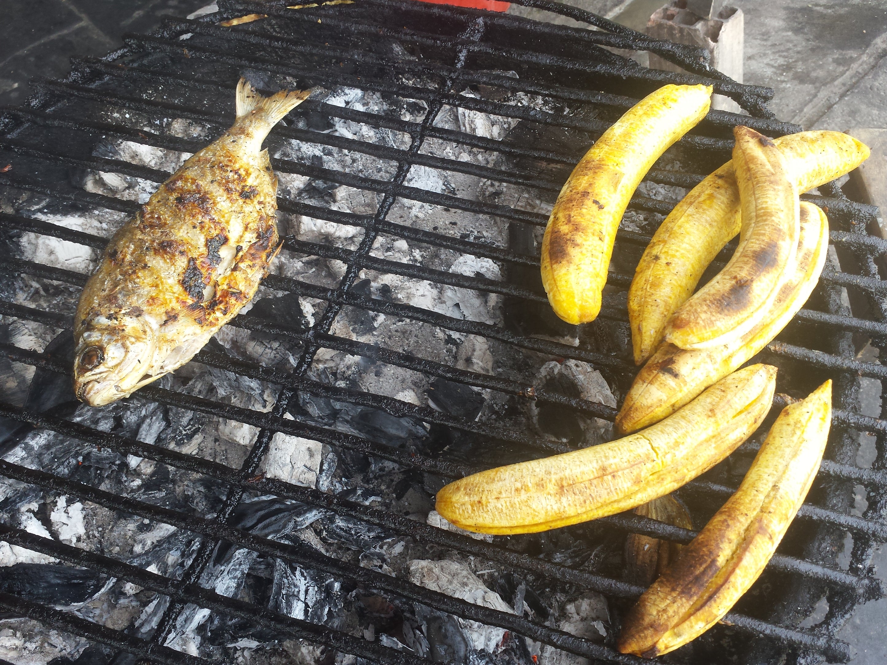 Ceremony Mapacho - Premium Organic Tobacco & Products | Buy Now ...